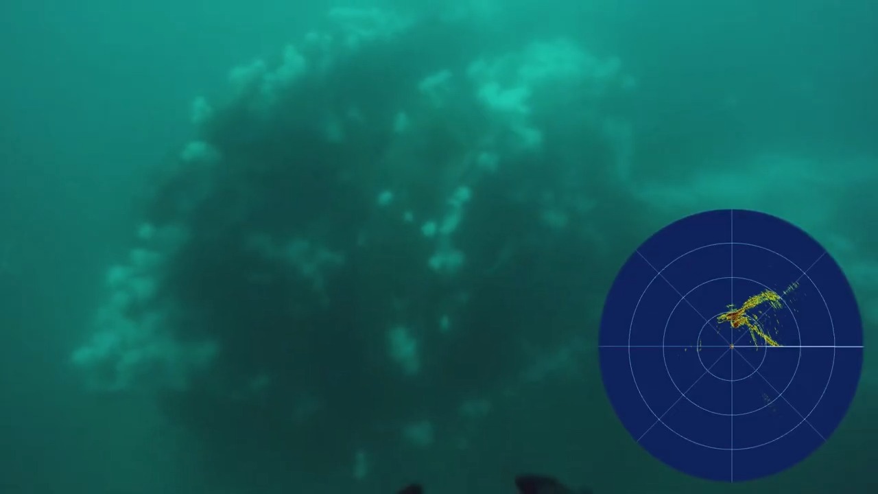 BlueROV2 Heavy Open Source Underwater Vehicle - Sea Robotix ...